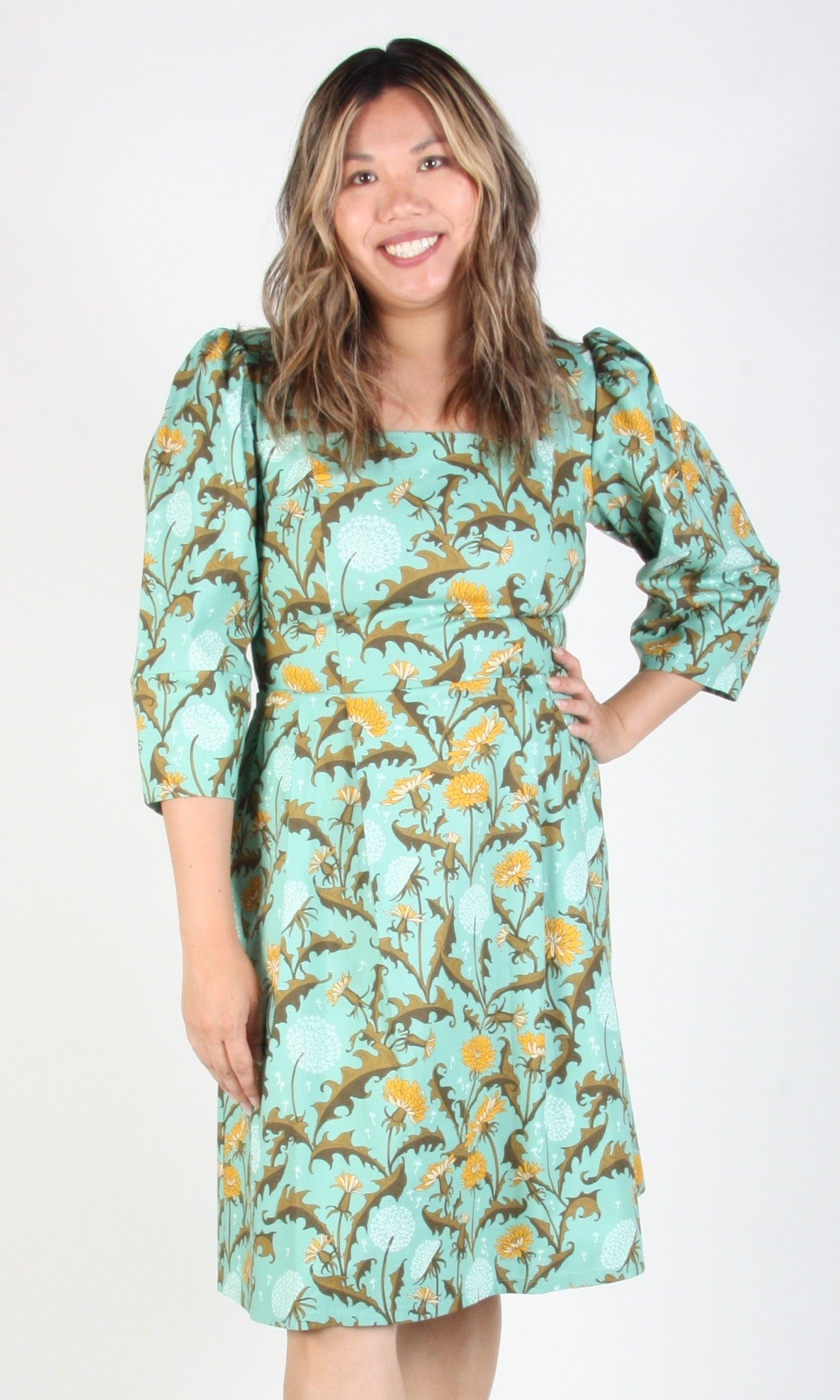 Birds of North America Helldiver Dress - Pissenlit | Garmentory