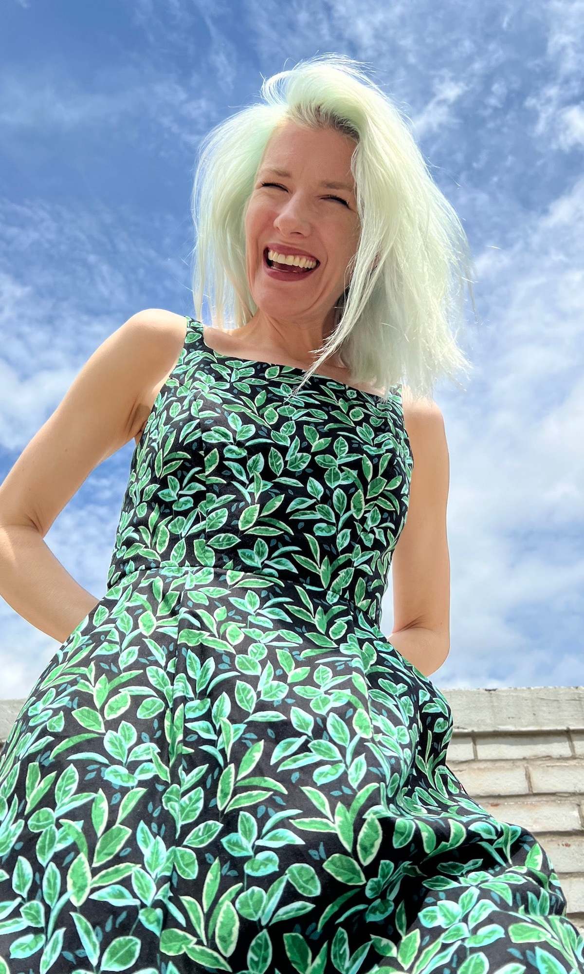 Birds of North America Reedbird Dress - Suburban Night Hedge | Garmentory