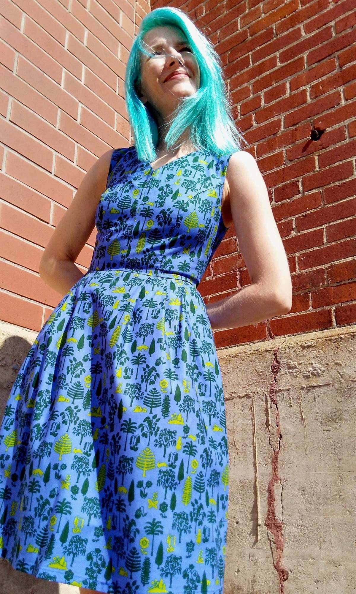 Birds of North America Wood Snipe Dress - Forager | Garmentory