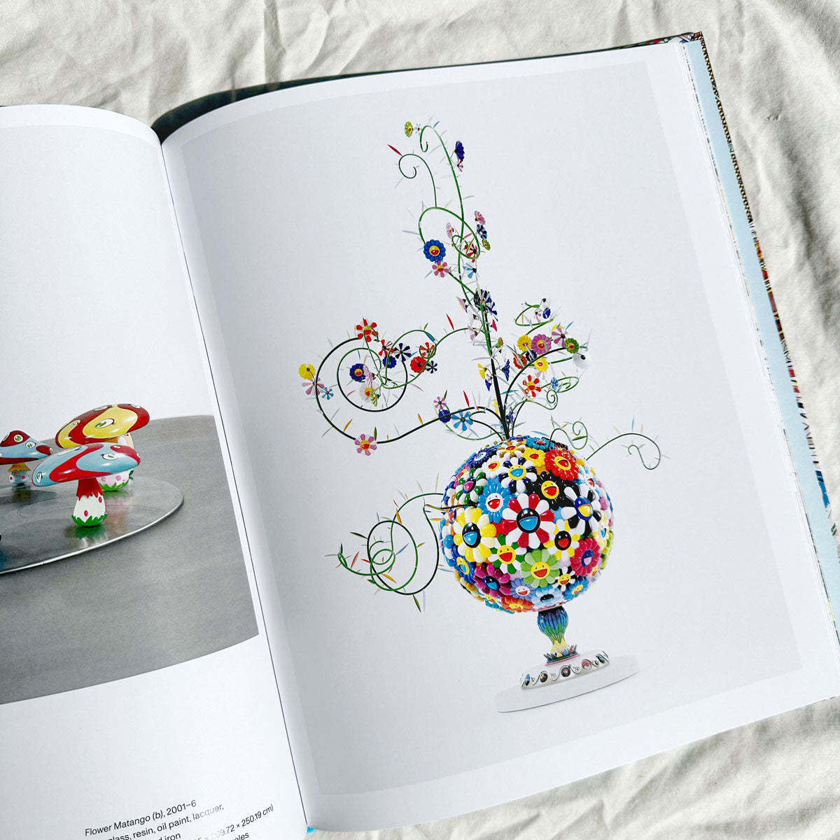 DelMonico Books Takashi Murakami Stepping on the Tail of a Rainbow | Garmentory